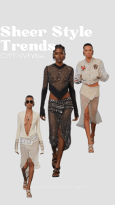 2025 Fashion Keyword: The Ultimate Sheer Style - JulieNne's Choice